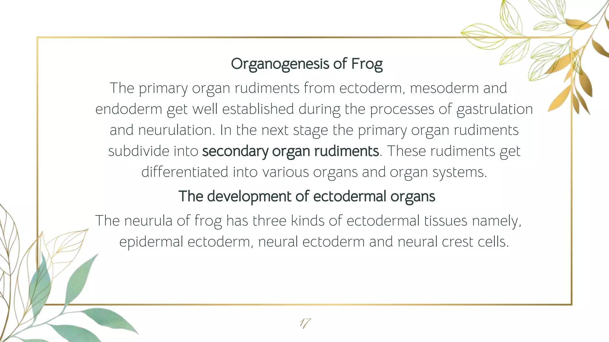 organogensis | PPTX