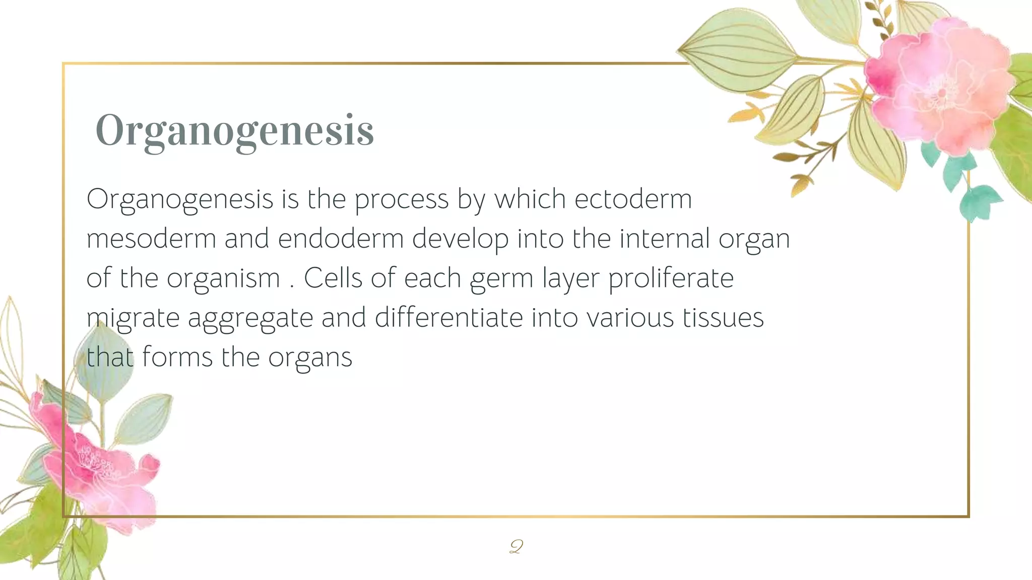 organogensis | PPTX