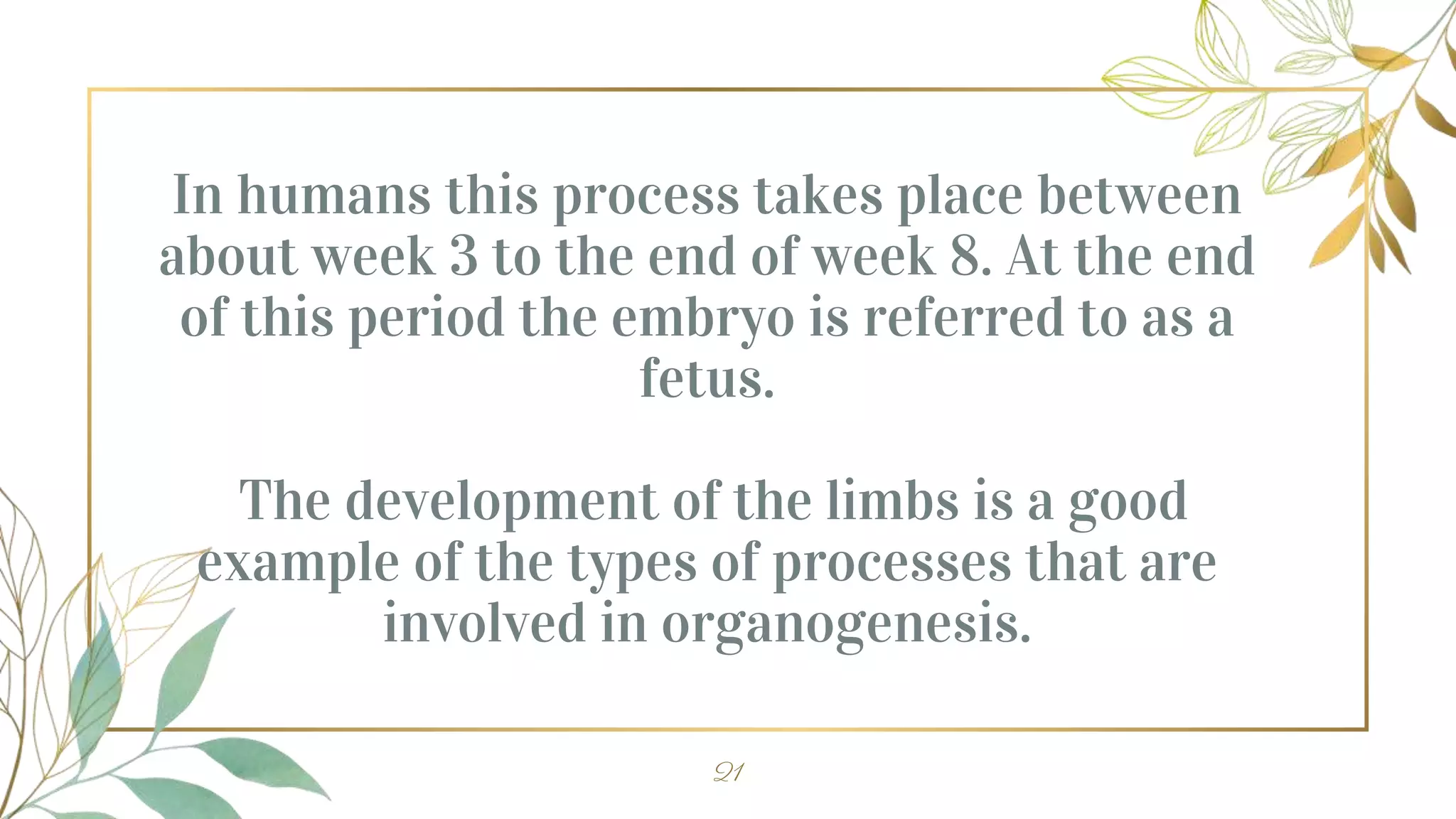 organogensis | PPTX