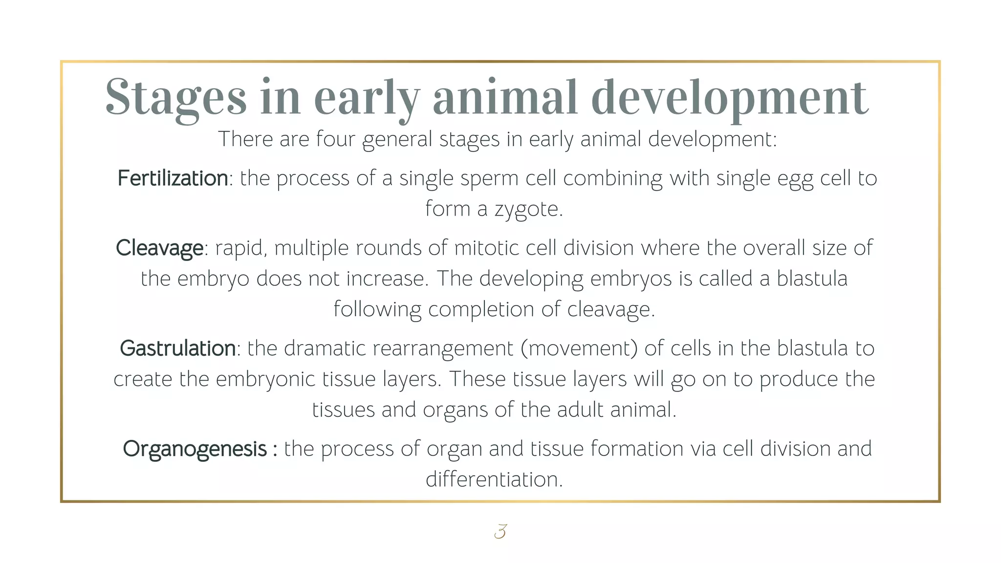 organogensis | PPTX