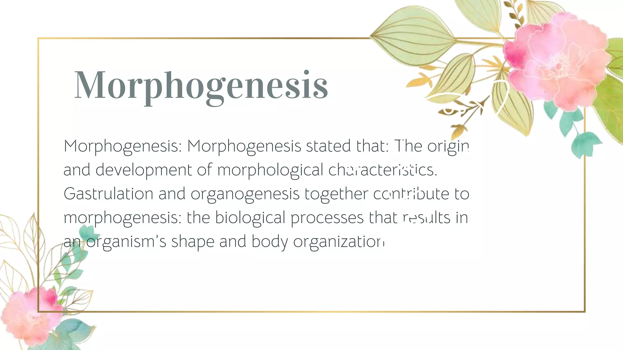 organogensis | PPTX