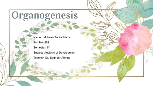 organogensis | PPTX | Biological Sciences | Science