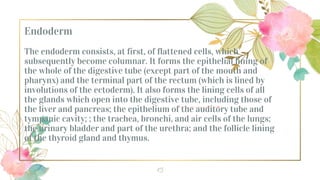 organogensis | PPTX | Biological Sciences | Science