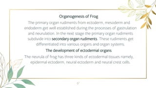 organogensis | PPTX