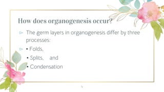 organogensis | PPTX