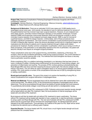 Ellenhorn 2016 One Page Summary (Final) | PDF