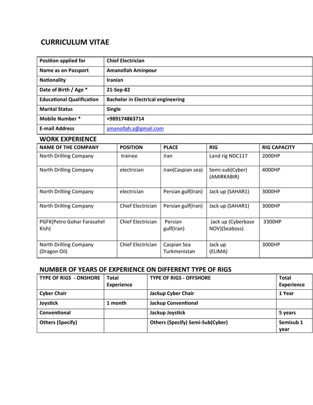 CURRICULUM VITAE | PDF