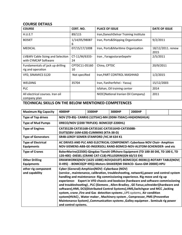 CURRICULUM VITAE | PDF