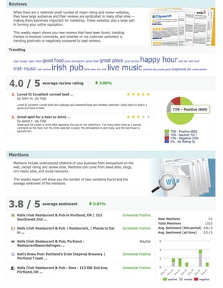 Sample Exec Summary Report | PDF
