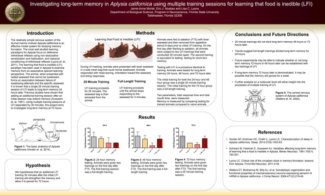 FINAL_Redo_Final_MultipleTrainingPosterSpring2016 | PPT