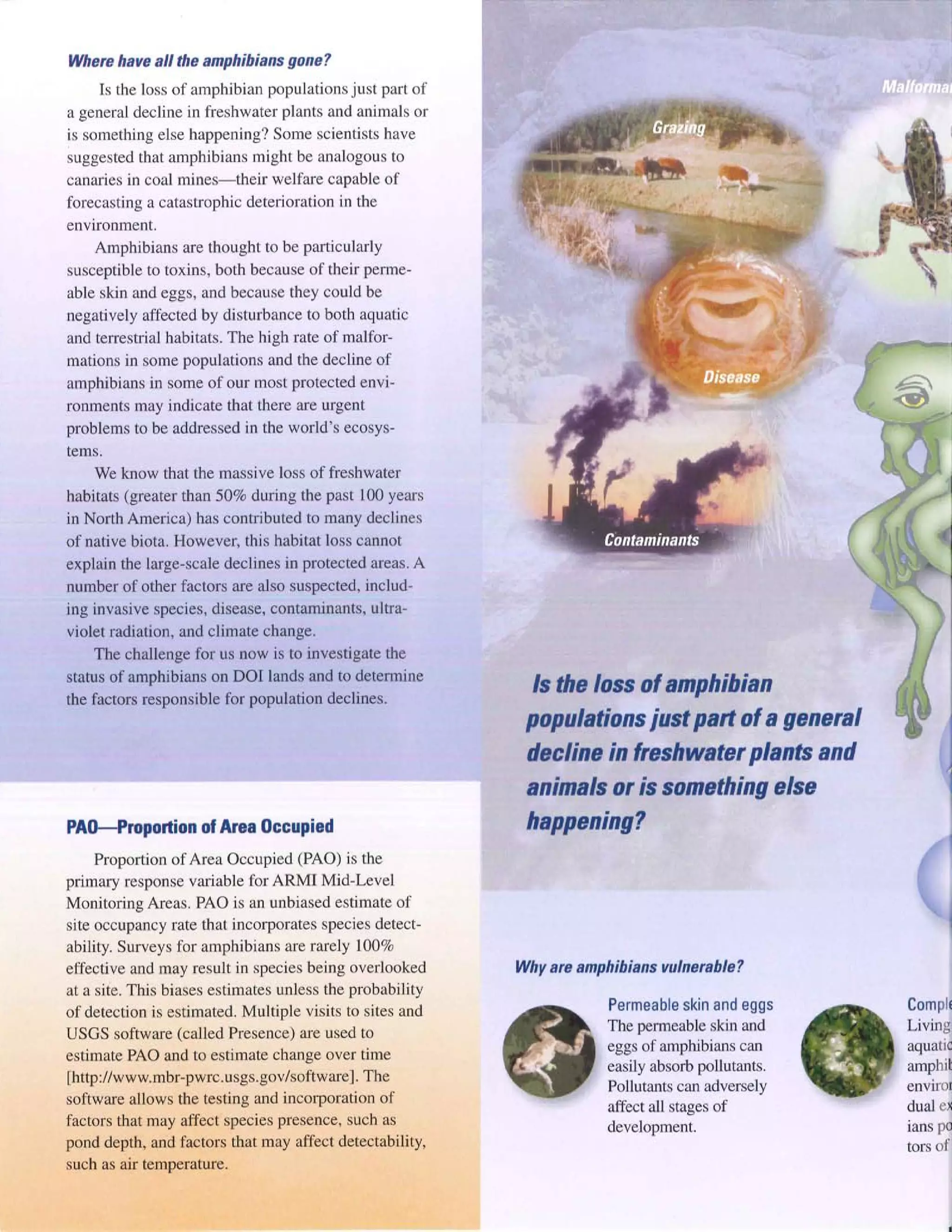 ARMI Fact Sheet | PDF