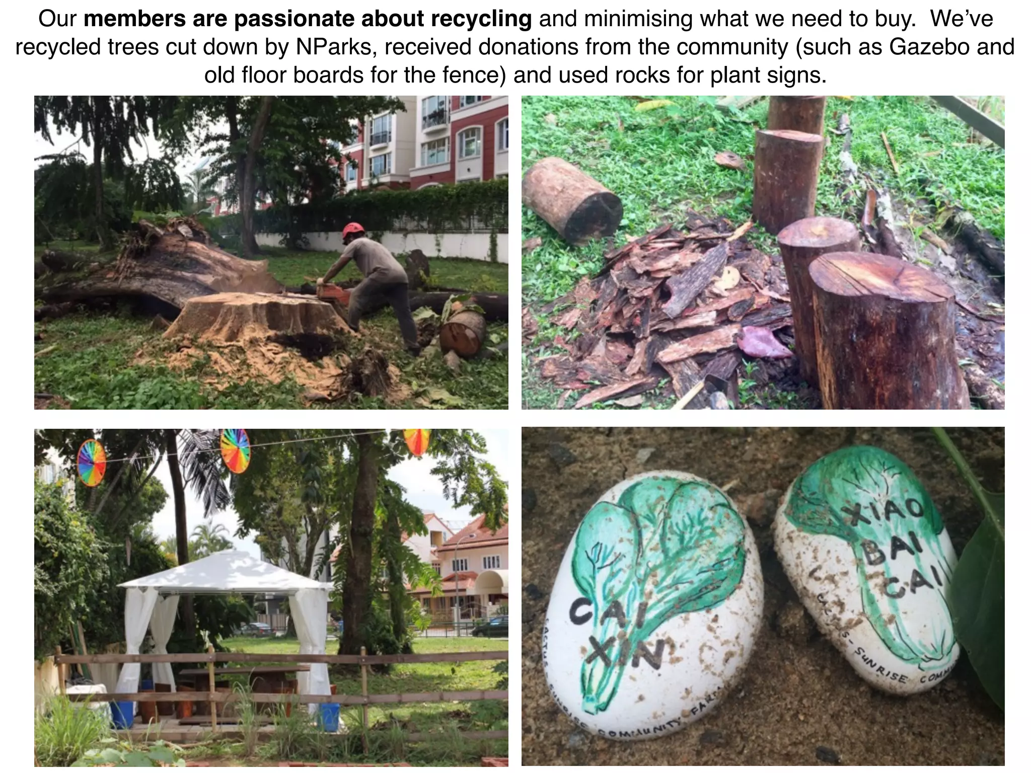 NParks - Sunrise Community Garden Visual Summary & Judging Inputs | PPT