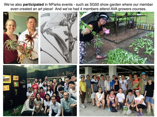 NParks - Sunrise Community Garden Visual Summary & Judging Inputs | PPT