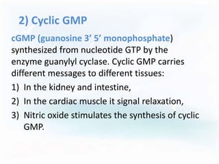 Mechanism of Hormone action, Role of Secondary Messengers cAMP, cGMP ...
