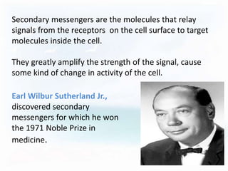 Mechanism of Hormone action, Role of Secondary Messengers cAMP, cGMP ...