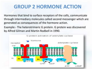 Mechanism of Hormone action, Role of Secondary Messengers cAMP, cGMP ...