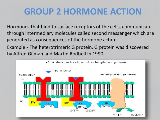 Mechanism of Hormone action, Role of Secondary Messengers cAMP, cGMP