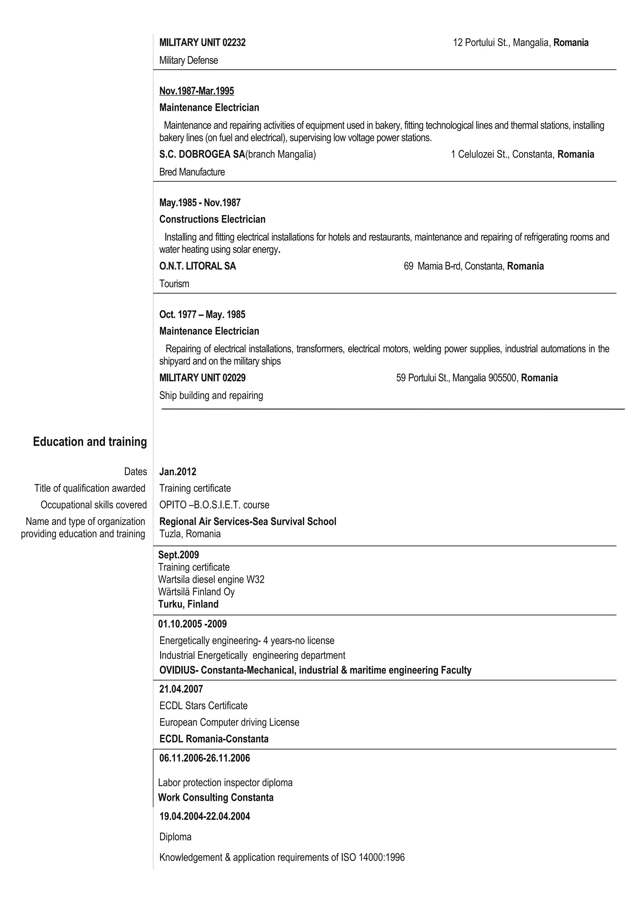 CV Catrinescu Florian | DOC | Civil Engineering Industry | Industries