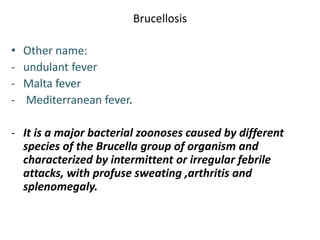 brucellosis | PPTX