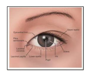 session 1 Introduction | PPT