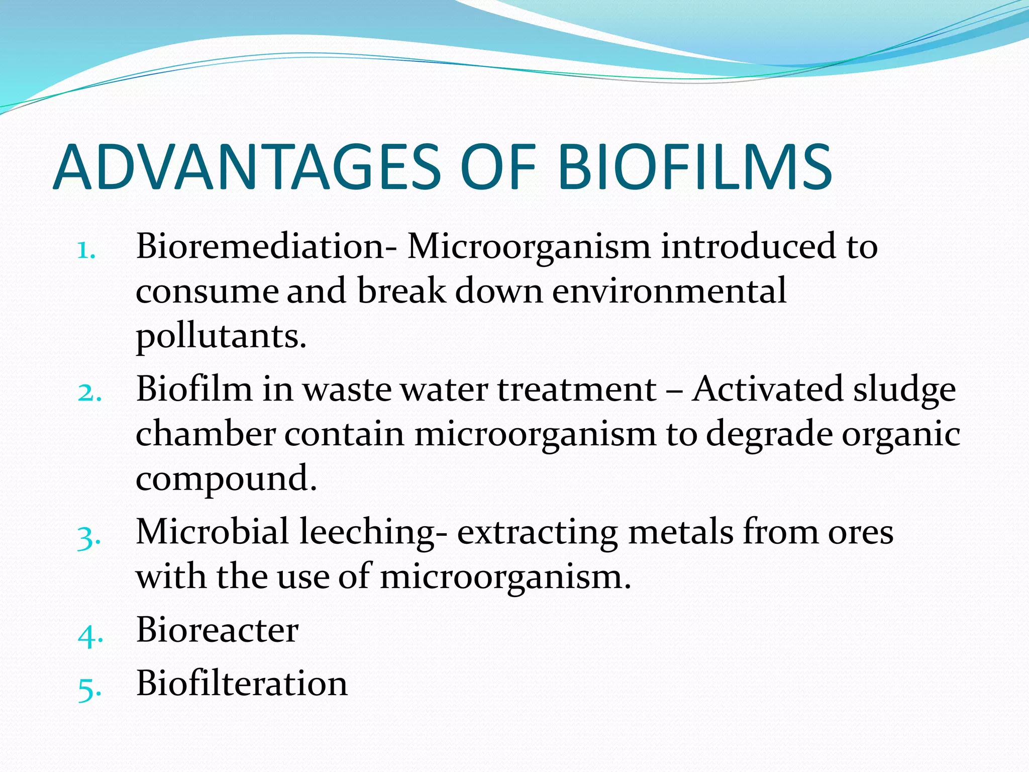 Biofilms by krishanchand mahra | PPTX