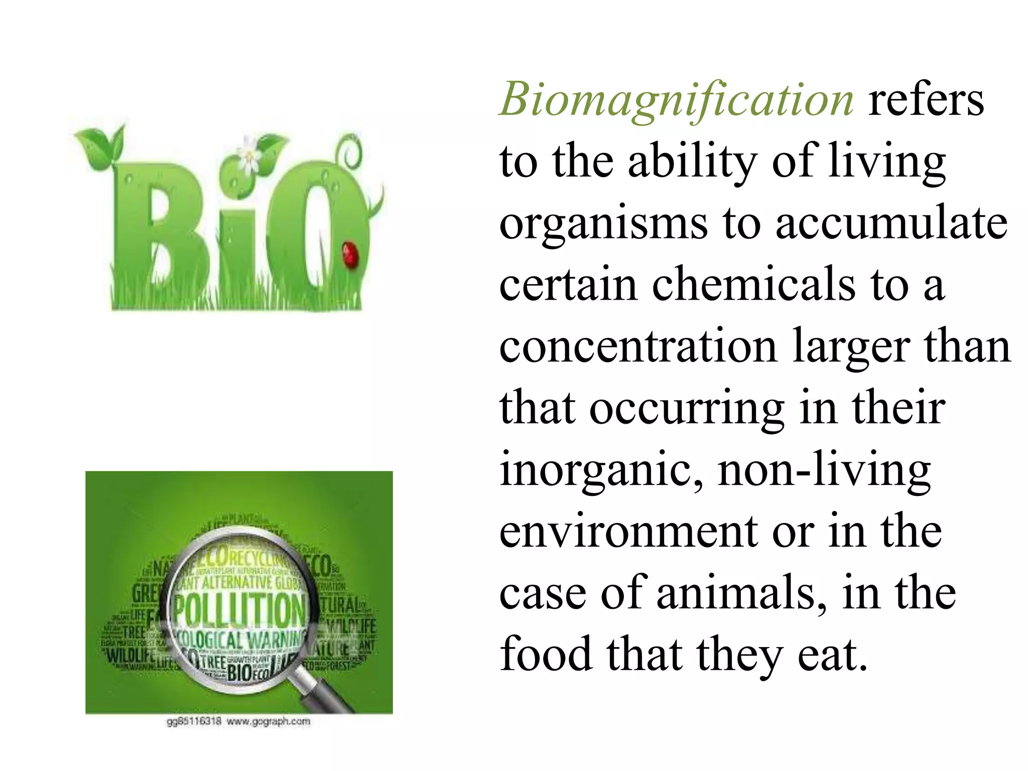 Biomagnification | PPTX