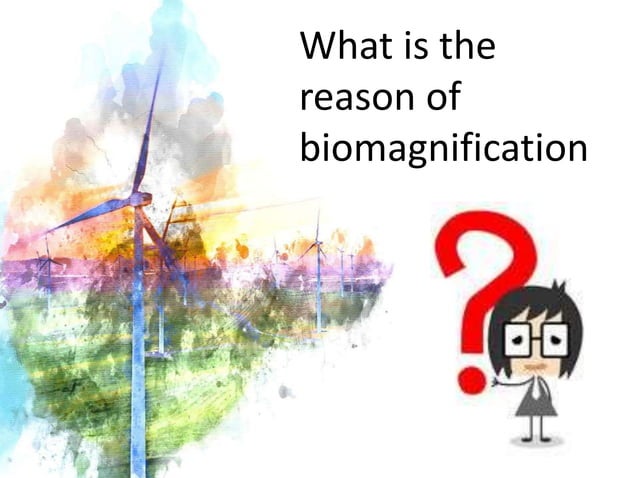Biomagnification | PPTX | Chemistry | Science