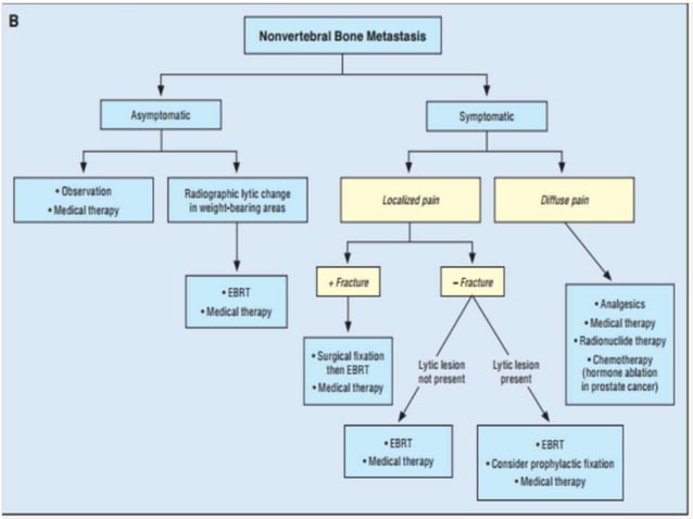 BONE METS & MANAGEMENT. | PPTX | Cancer | Diseases and Conditions
