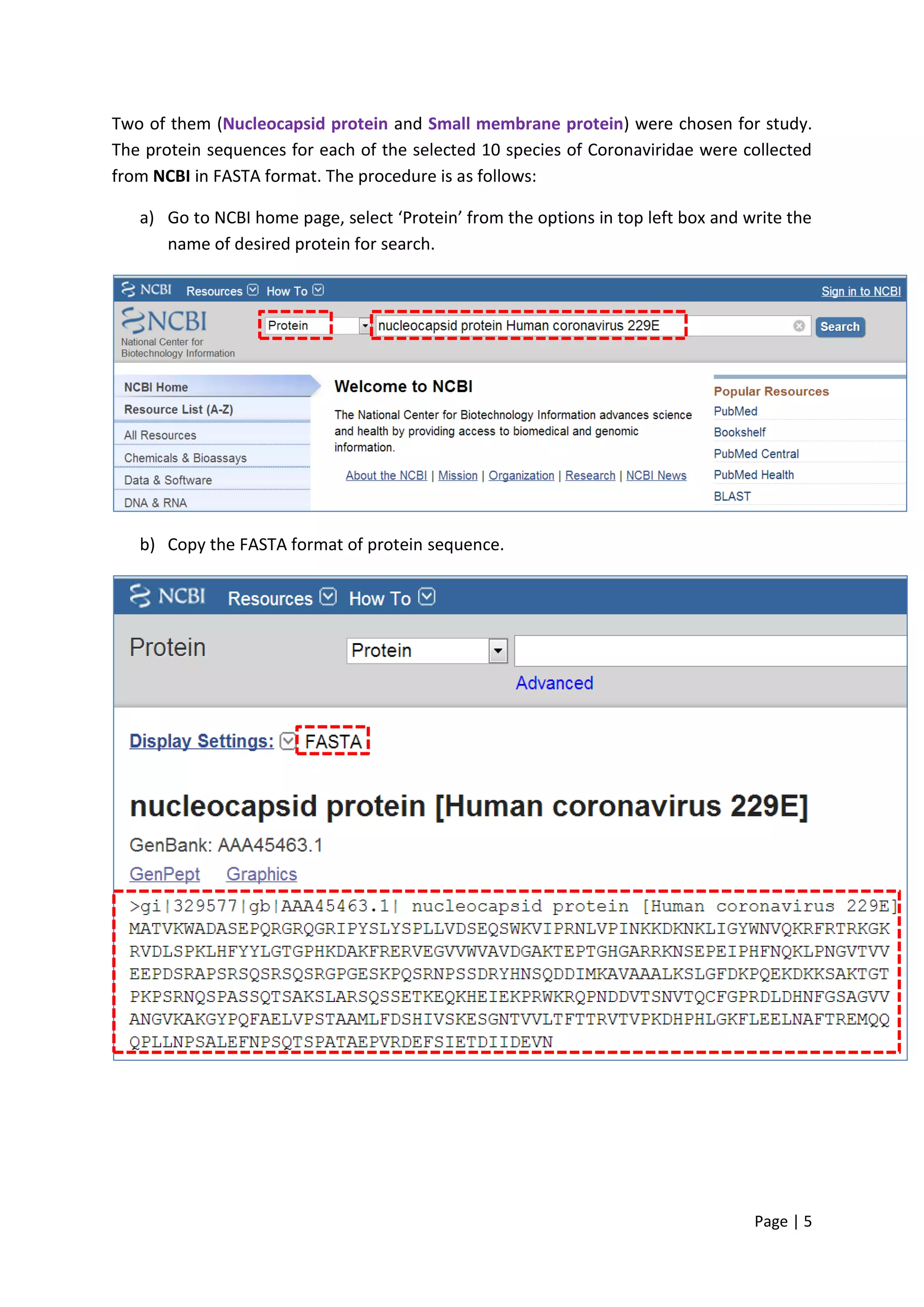 Bioinformatics.Assignment | PDF Bioinformatics.Assignment | PDF