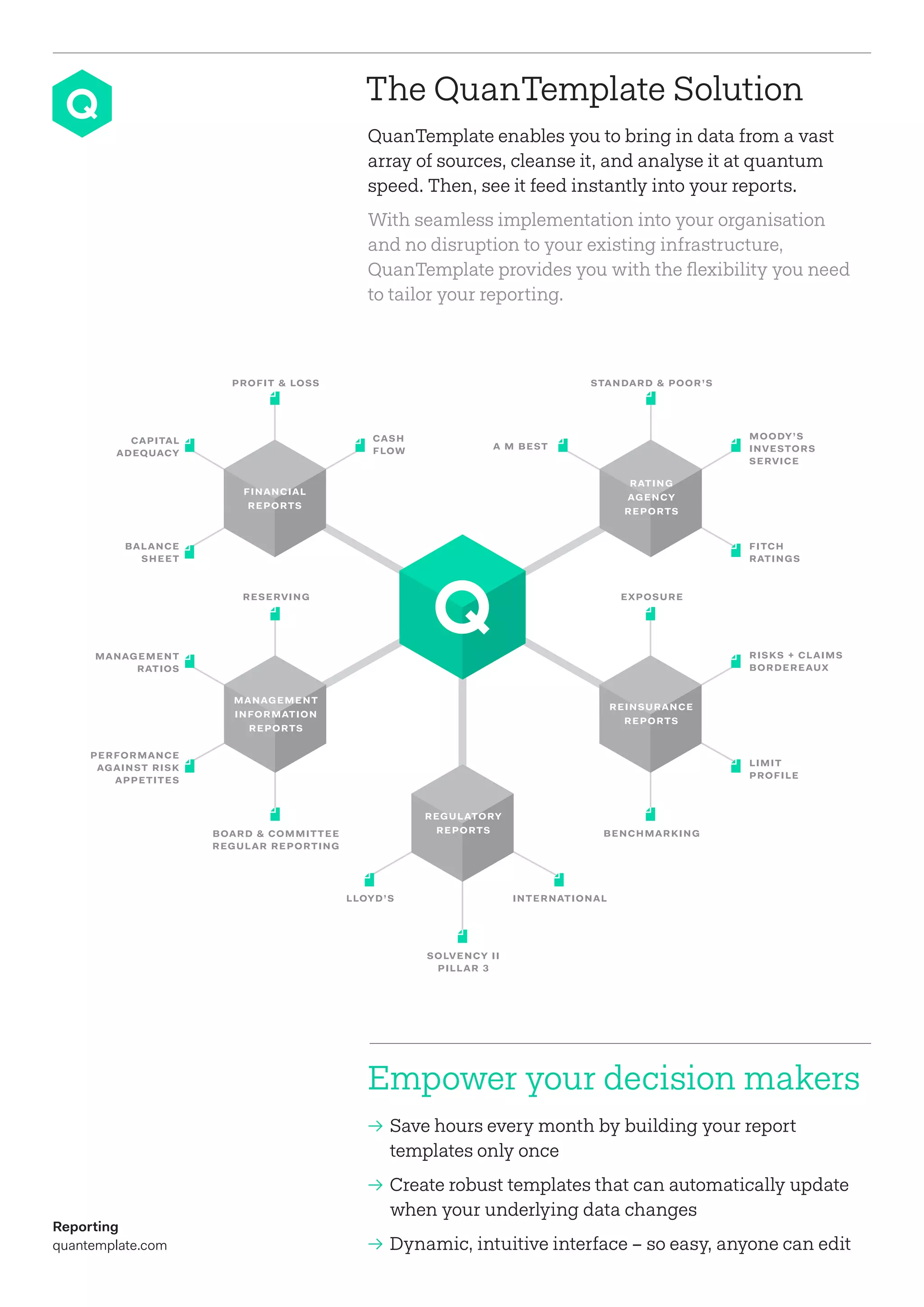 QuanTemplate-Reporting | PDF