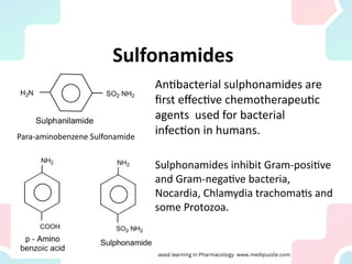 AMA-_Sulfonamides.pdf