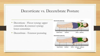 Tone Management | PPTX