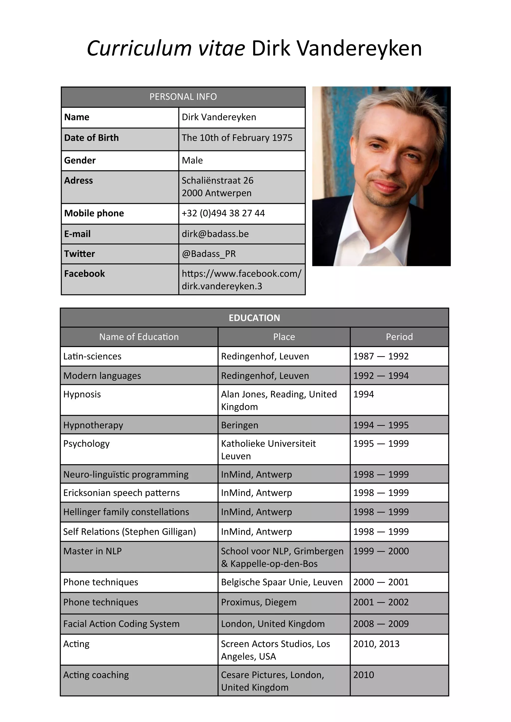 cv Dirk Vandereyken English | PDF