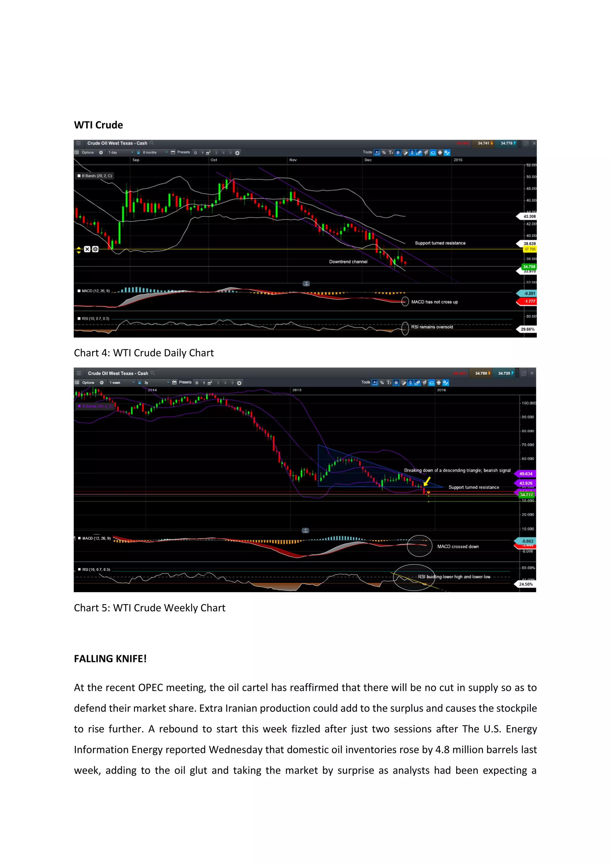 CMC Report English | PDF