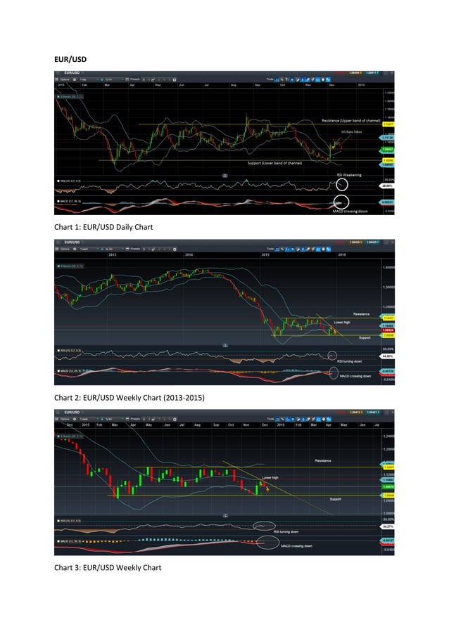CMC Report English | PDF