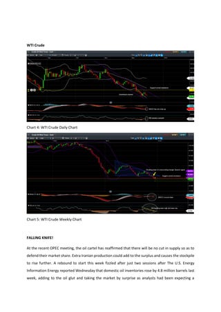 CMC Report English | PDF