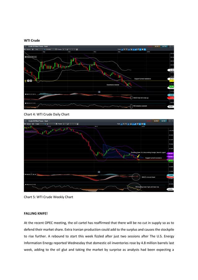 CMC Report English | PDF