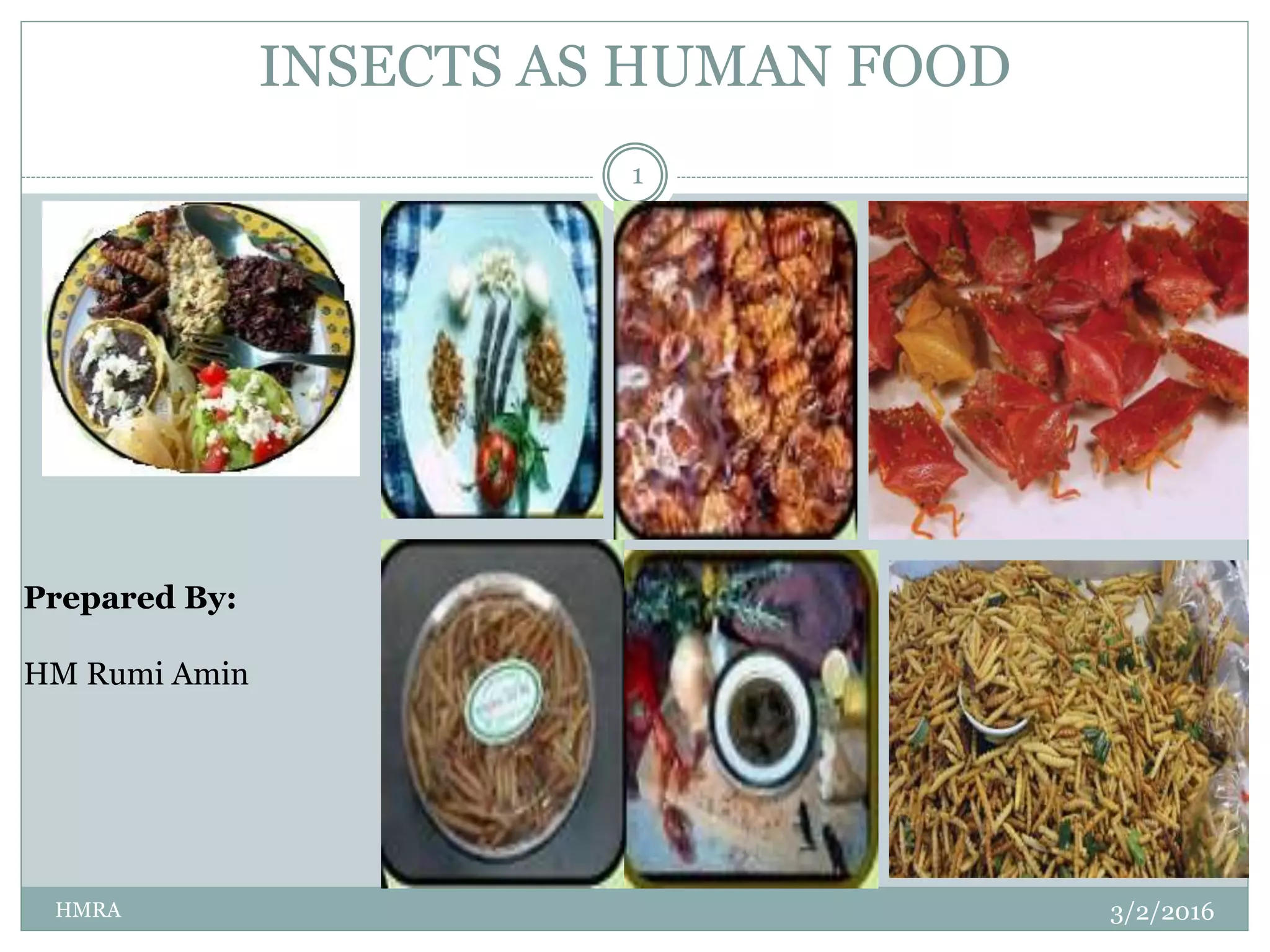 Insects as Human Food | PPTX