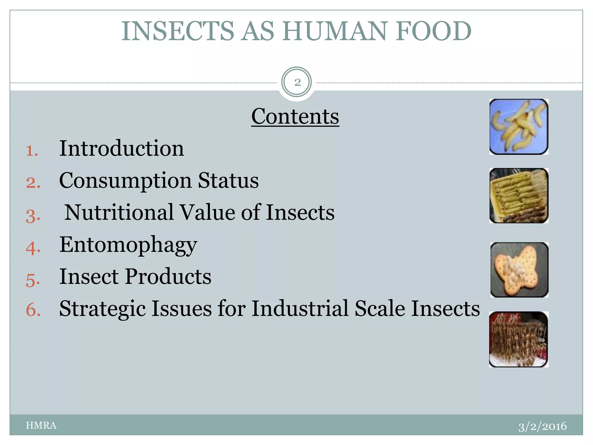 Insects as Human Food | PPTX