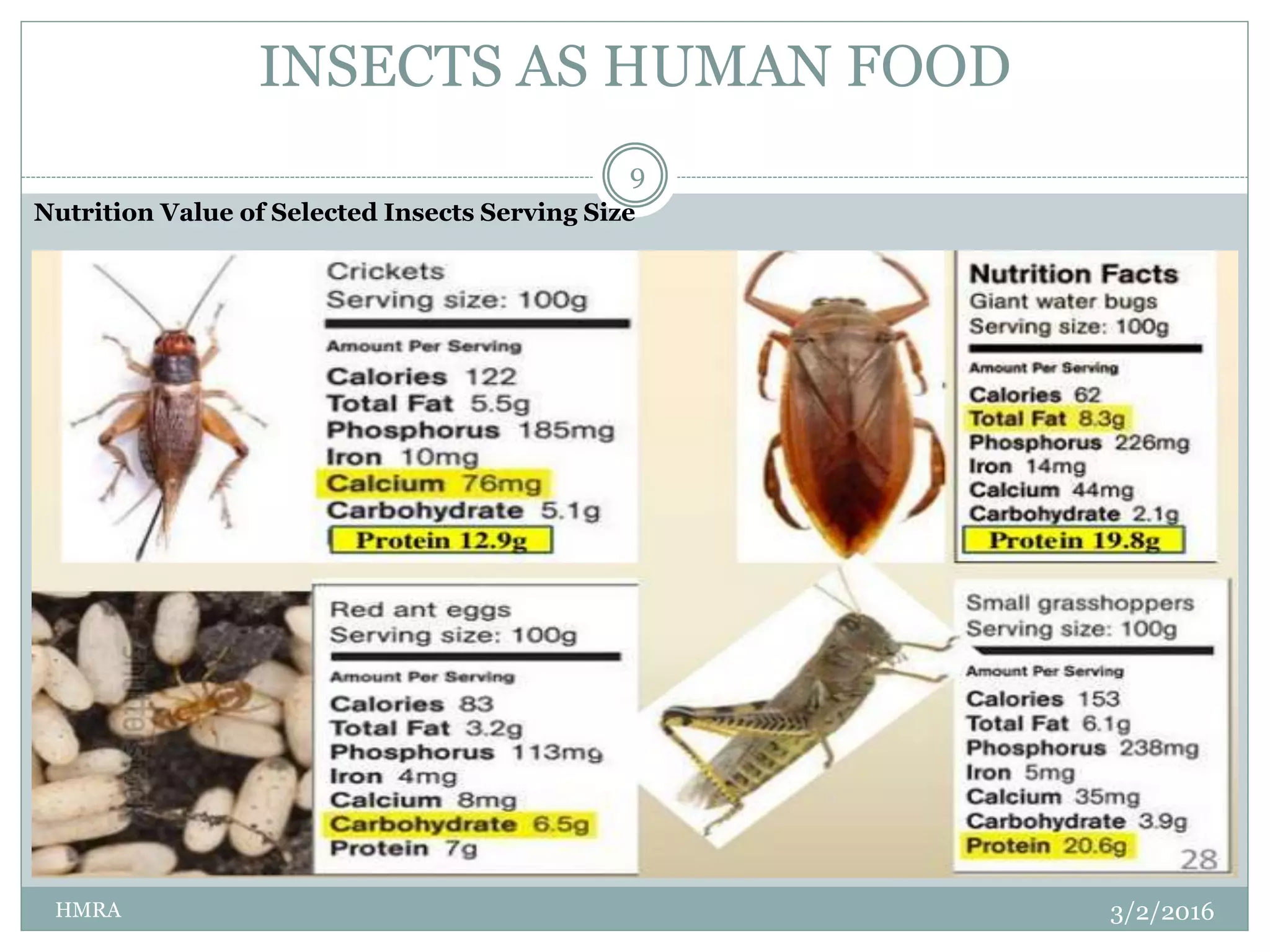 Insects as Human Food | PPTX
