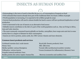 Insects as Human Food | PPTX