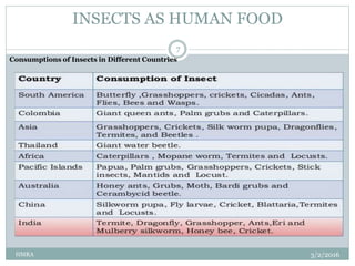 Insects as Human Food | PPTX