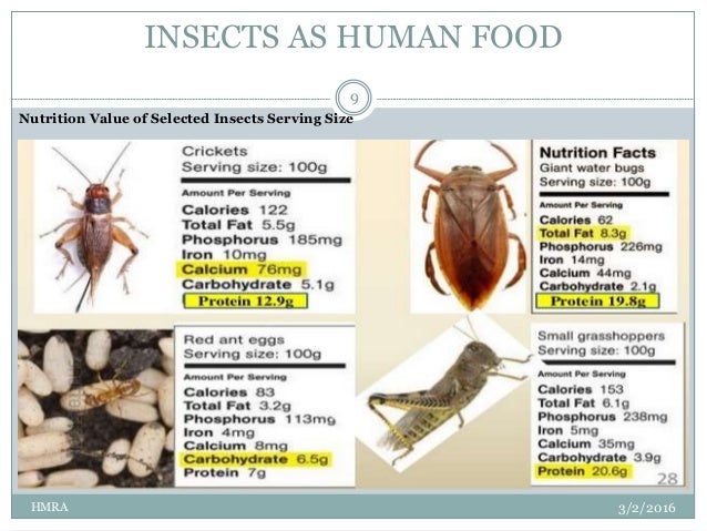 Insects as Human Food