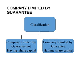 types of companies | PPT