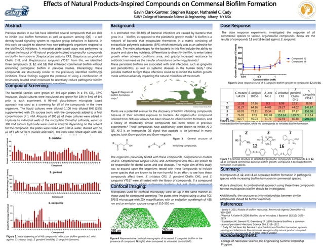 CNSE- Final Poster | PPT