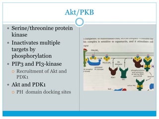 Colloqium Presentation | PPTX