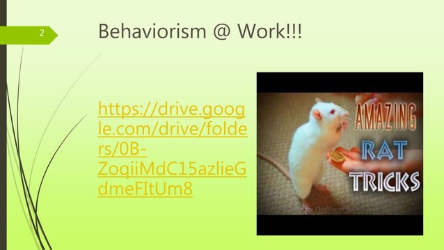 Viktor Frankl Logotherapy PowerPoint Final | PPTX | Brain and Nervous System Disorders ...