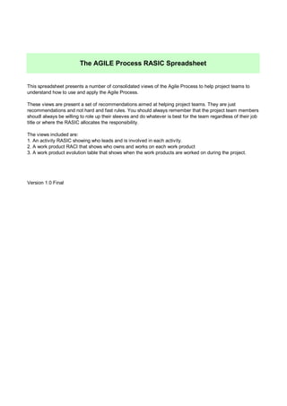 RACI Team Practice | PDF