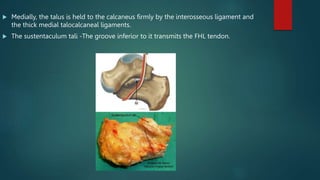 Calcaneal fracture- orthopaedics ,mbbs,ug level | PPTX