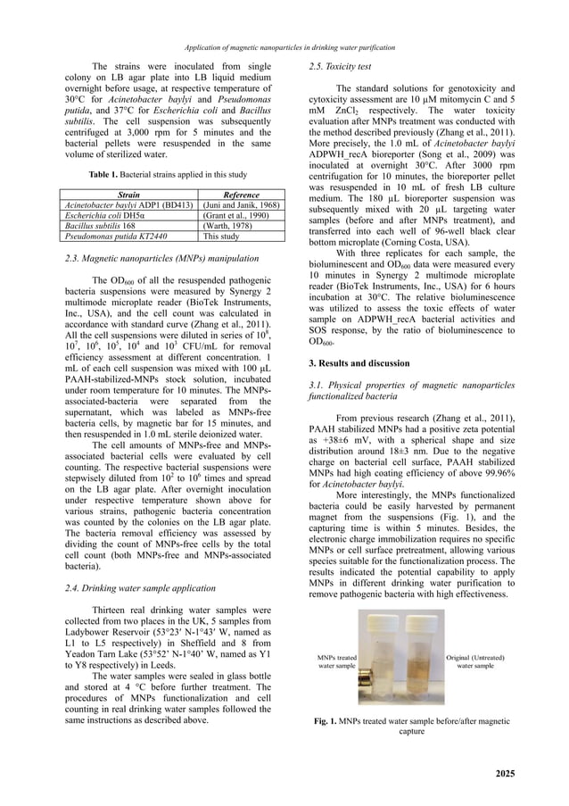 Application of magnetic nanoparticles in drinking water purification | PDF